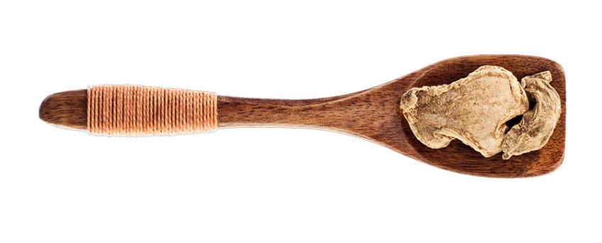 Gember Djahé - Kruiden - Chefkokkie.NL